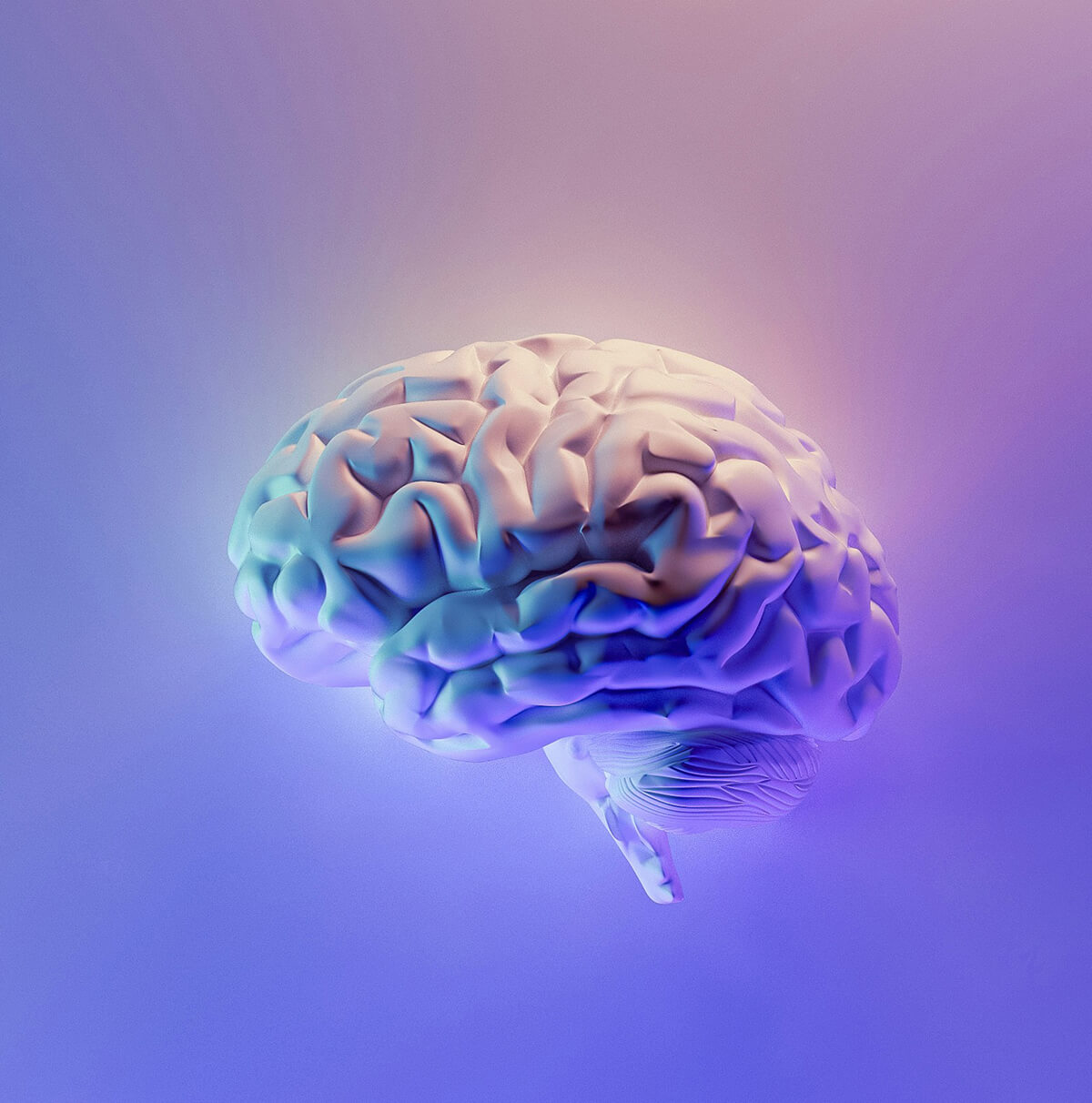 Higher Dietary Magnesium Improves Brain Function – Elektra Magnesium