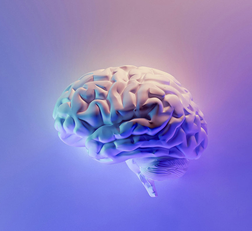 Higher Dietary Magnesium Improves Brain Function – Elektra Magnesium